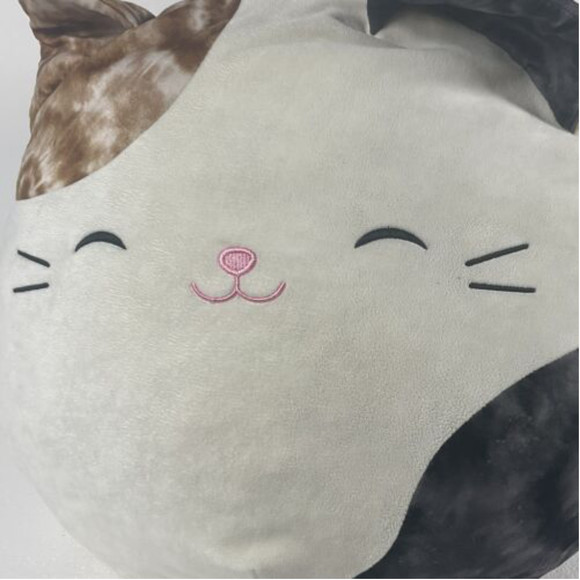 Kellytoy | Toys | Cameron 6 Cat 5 Year Collectors Edition Walgreens ...